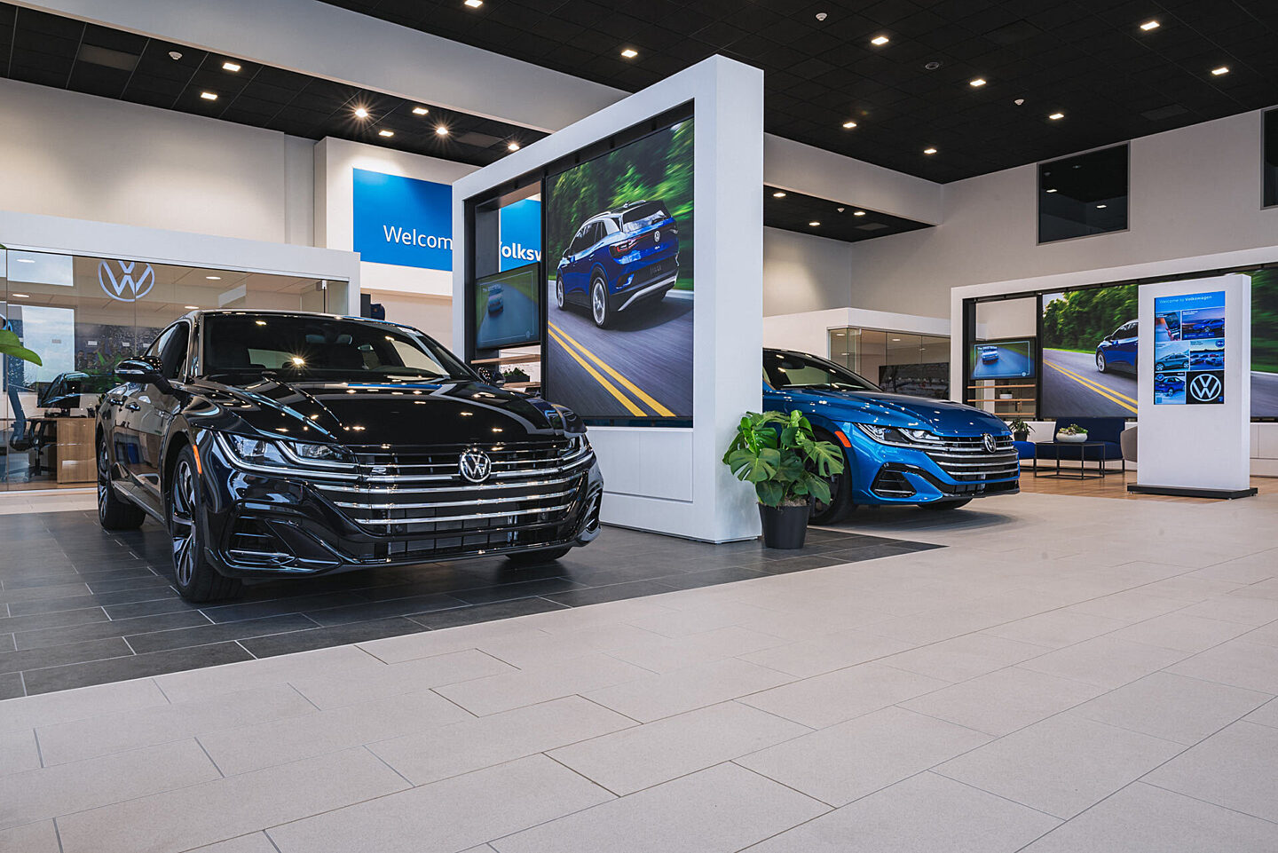 University VW Renovation | GLY